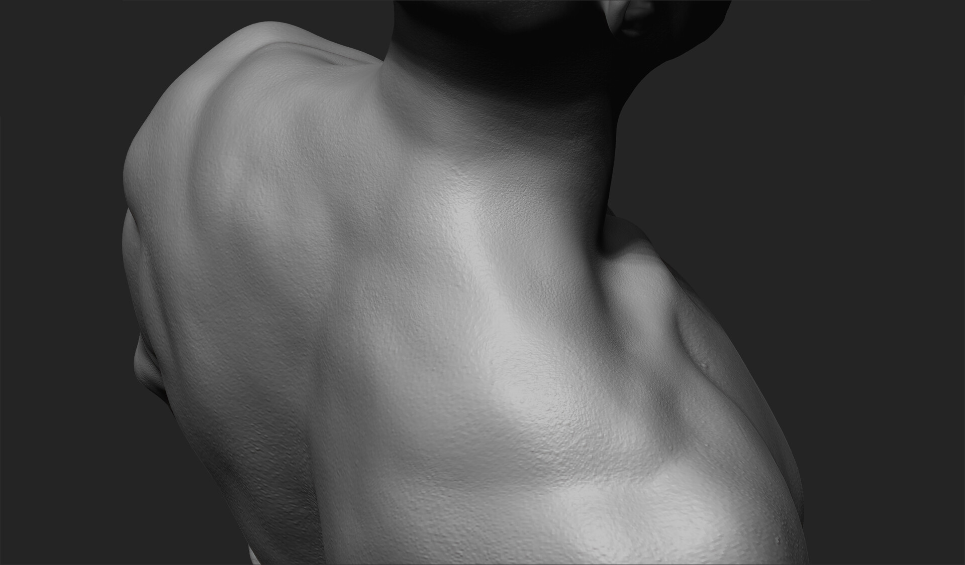 Aleks Nedovesov - Character the Witcher WIP (Zbrush Sculpt)