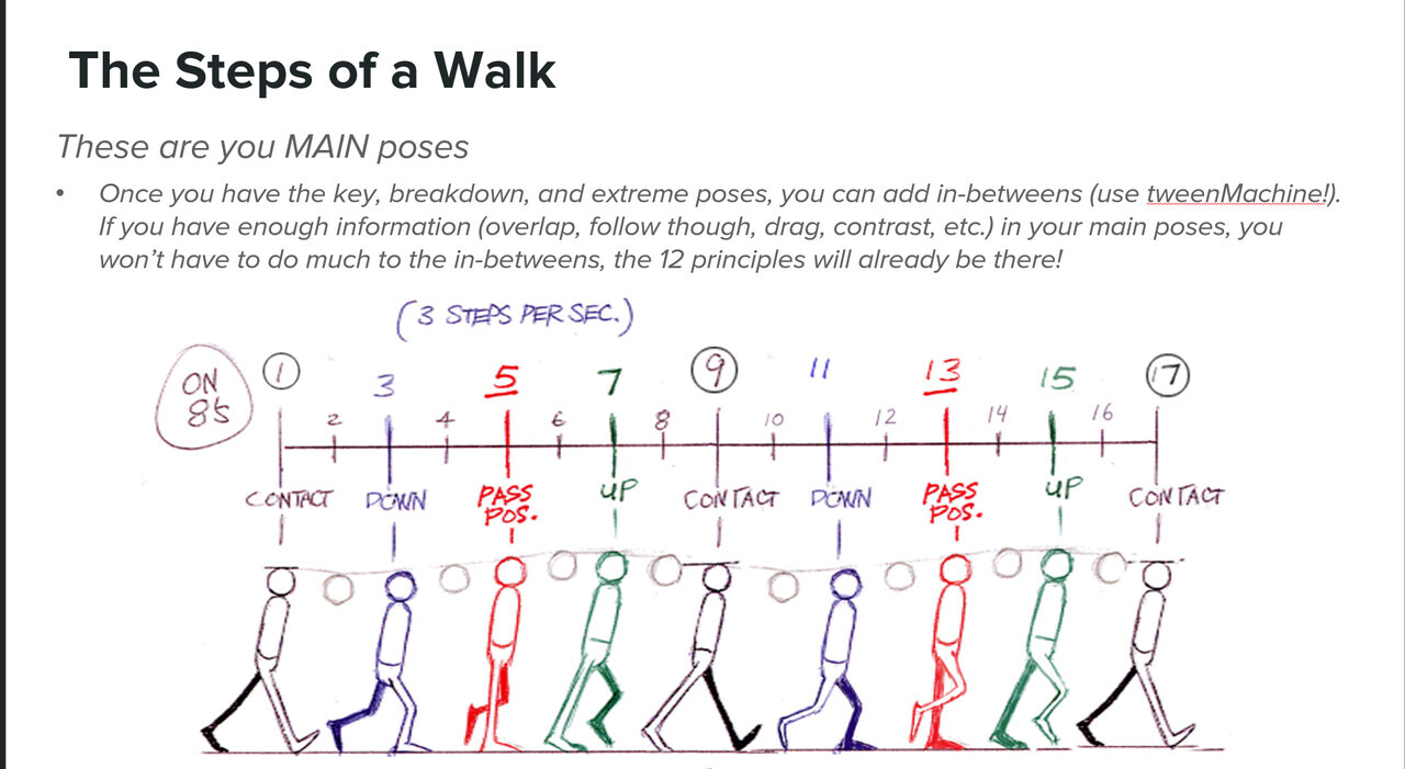 run cycle animation poses