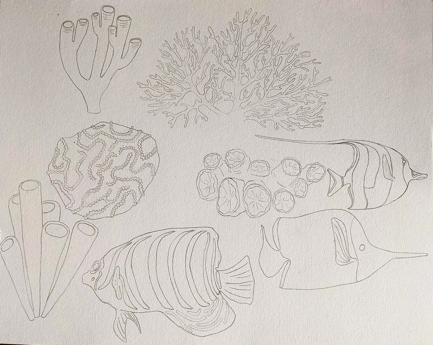 Céline Dameron - Build a stylized pattern using bitmaps in Substance ...