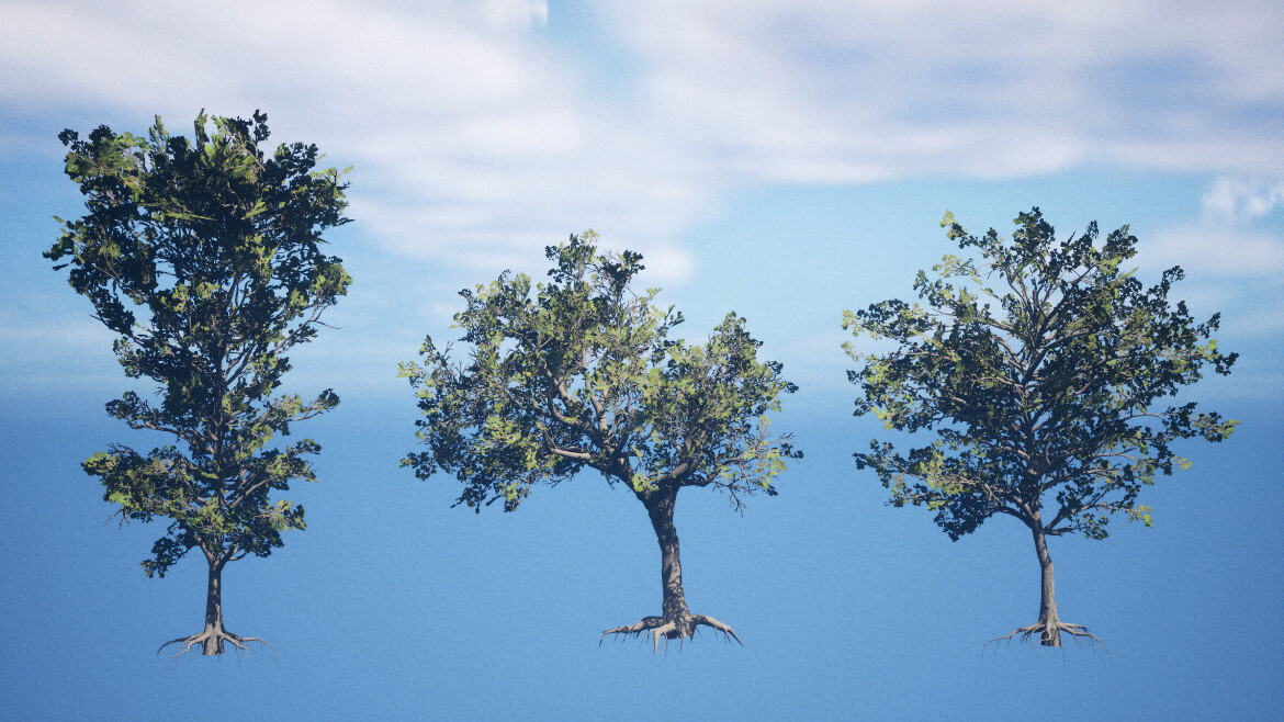 Sophia Mussio - Blog