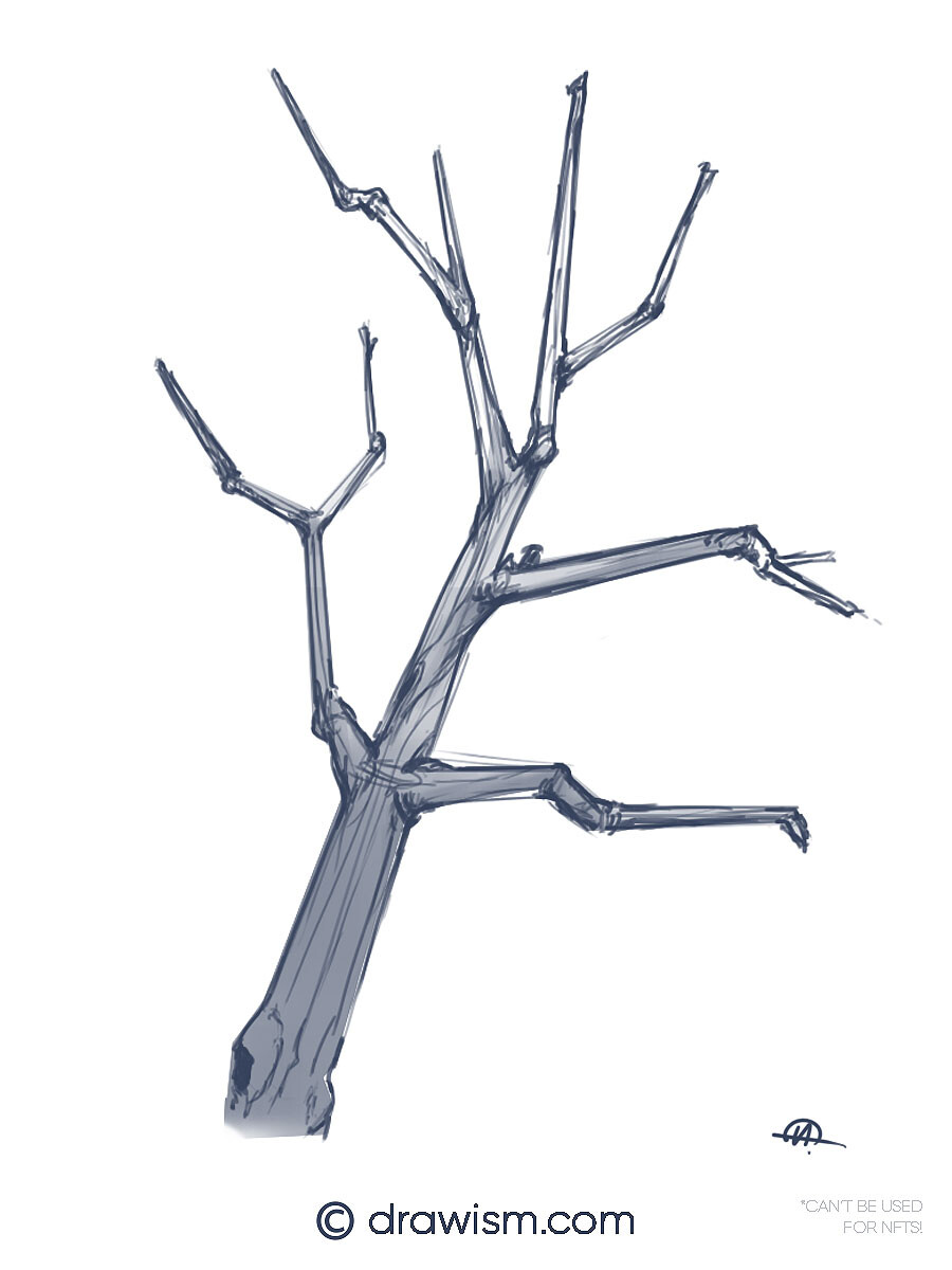 how to draw tree branches with leaves