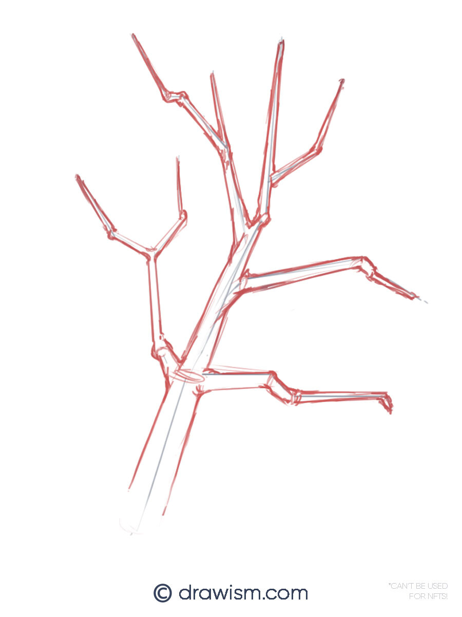 how to draw branches in illustrator