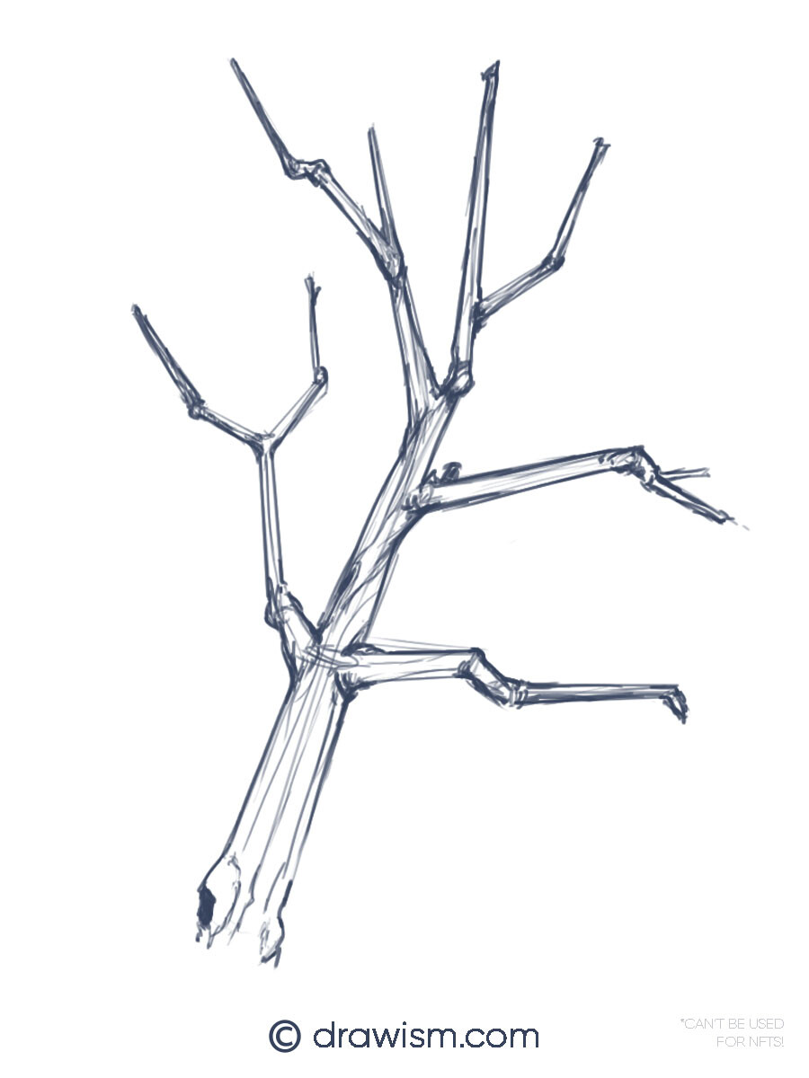 how to draw leaves and branches