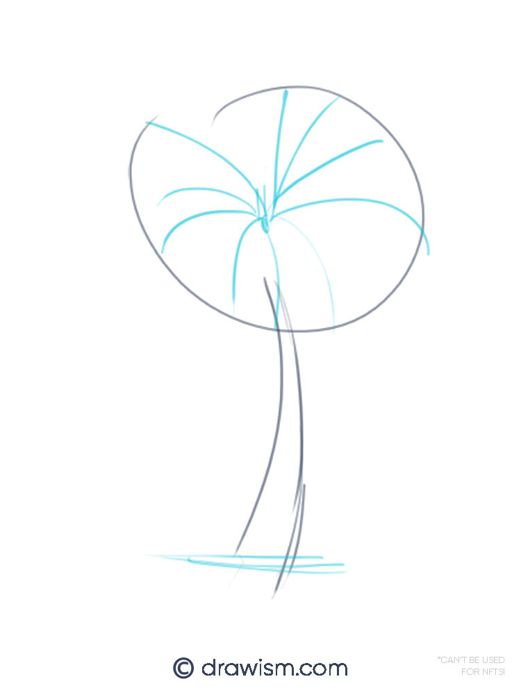 how to draw palm leaves step by step