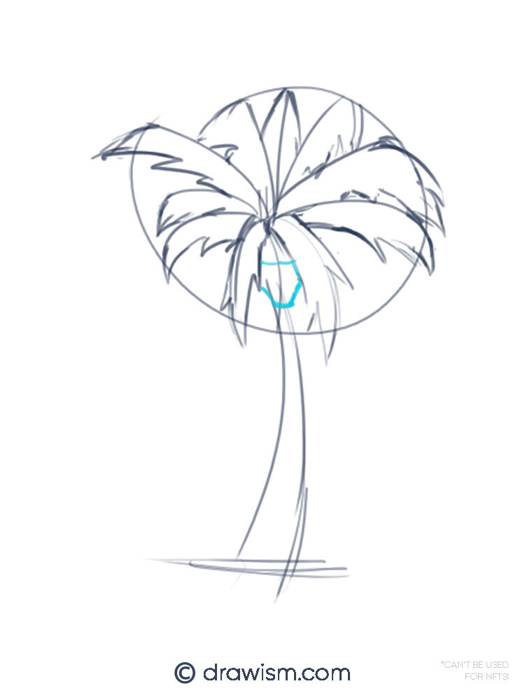 palms sketch