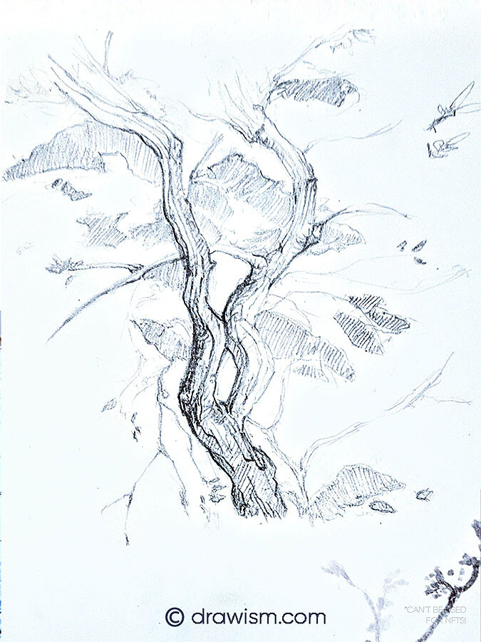 Nicole Adamson Concept Artist, Storyboards, Illustrator, & Visual ...