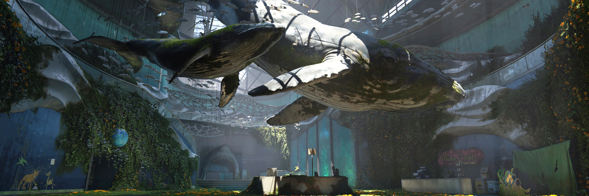 Anthony Vaccaro - Portfolio