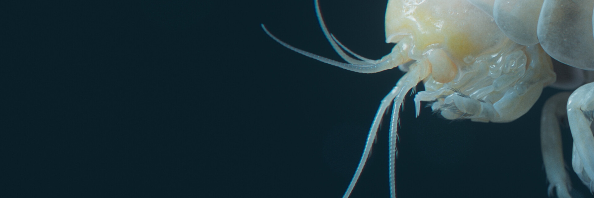 Thure Koch - Portfolio