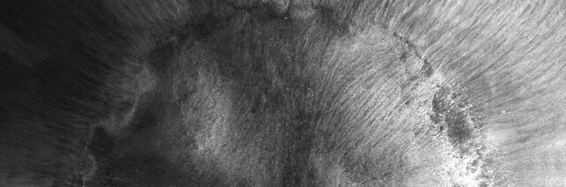 ArtStation - David Gruwier