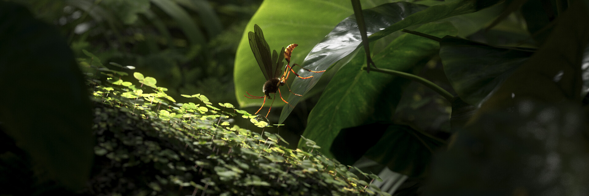 ArtStation - Daniel Yu