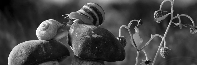 ArtStation - Jodi Fung