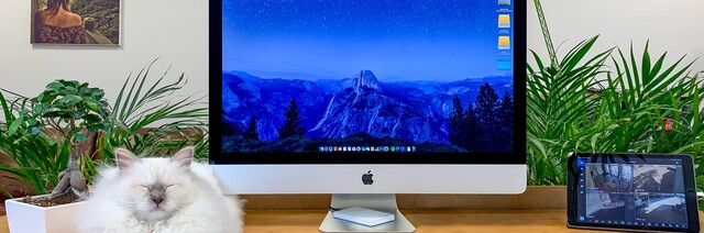 ArtStation - Lucas Skyler