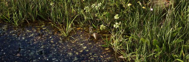 ArtStation - Kasper Vendelbo