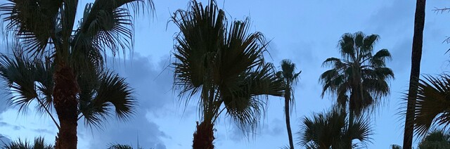 ArtStation - Colin Merrick