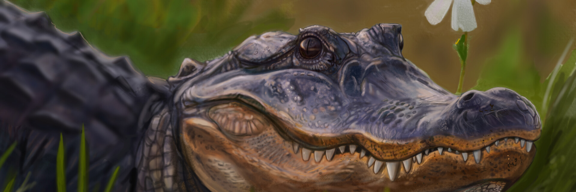 Blake Sanders - Portfolio