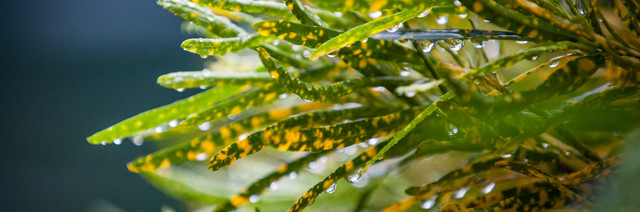 ArtStation - Shane Proctor