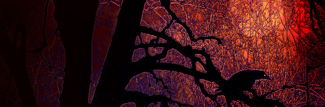 ArtStation - Scott Rigsby