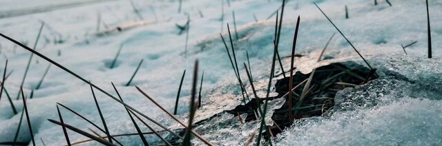 ArtStation - Leo Gao