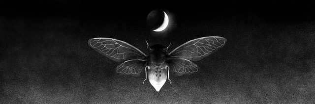 ArtStation - Tomas Ogle