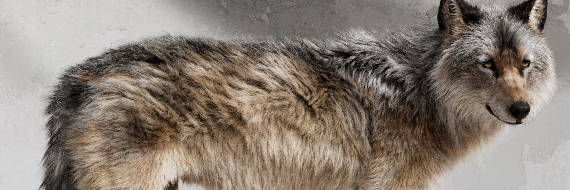 ArtStation - Aritz Basauri