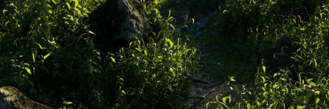 ArtStation - iwo pilc