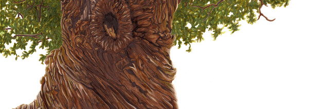 ArtStation - Bellamy Brooks