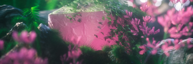 ArtStation - Timothy Rice