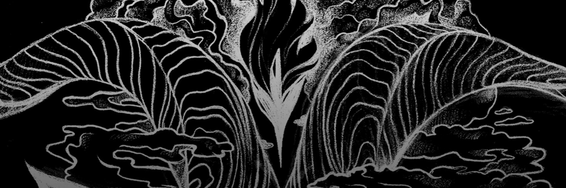 ArtStation - michael buda