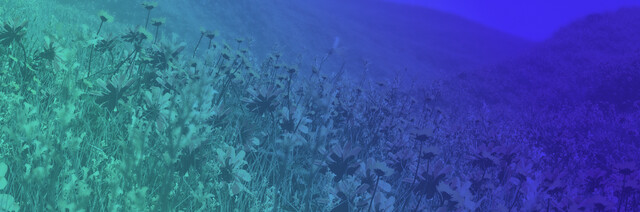 ArtStation - Kara Killam