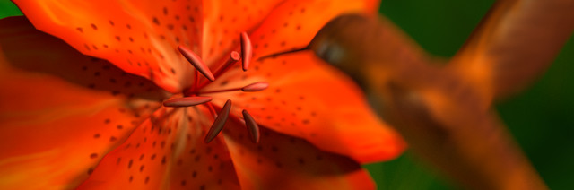 ArtStation - Sergey Lysov