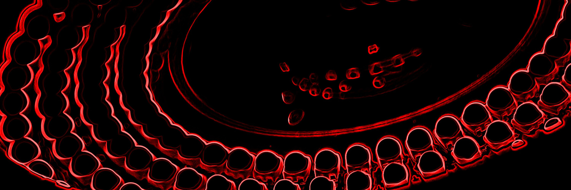 ArtStation - Tony Cross