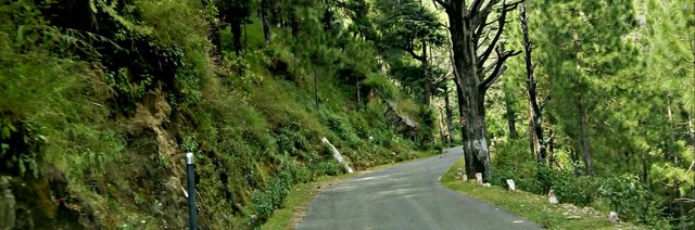 ArtStation - Rohit Negi