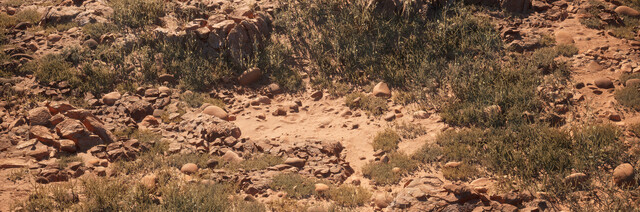 ArtStation - Shane Silver