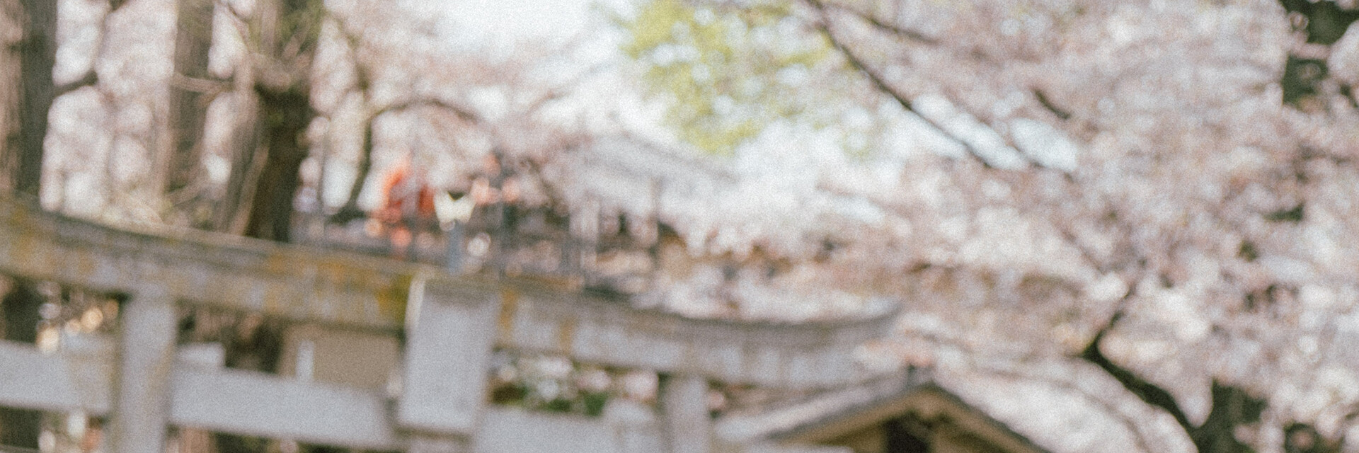 ArtStation - Mario C