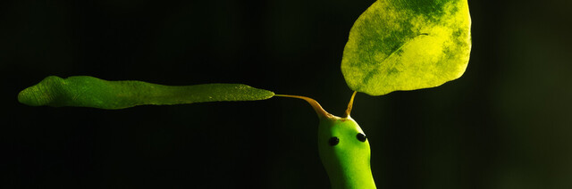 ArtStation - Sandeep Gehlot