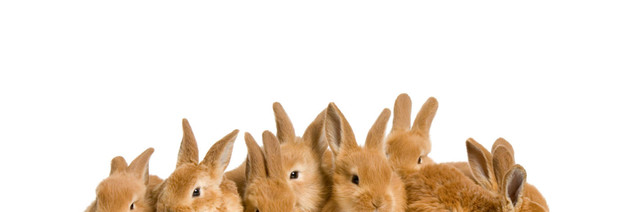 ArtStation - Daniel Everhart