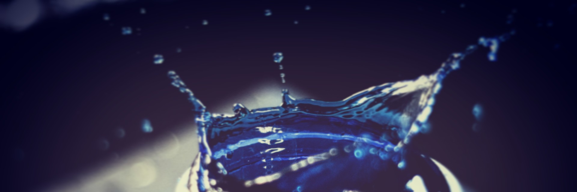 Subham Roy - Portfolio