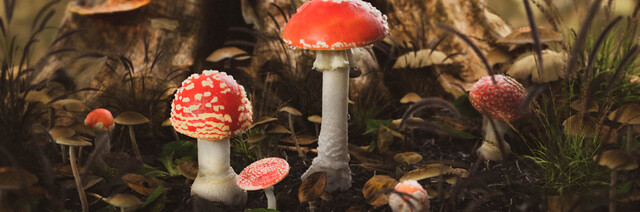 ArtStation - Qinglin Zhao