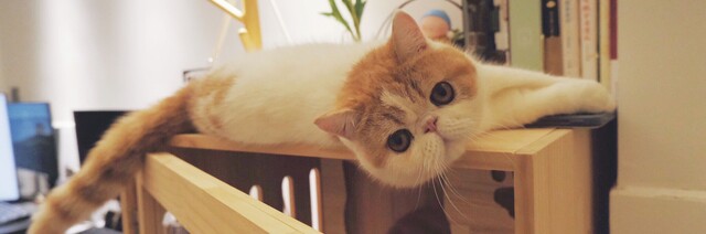 ArtStation - AA Ariel