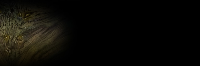 ArtStation - Mitchell Fletcher