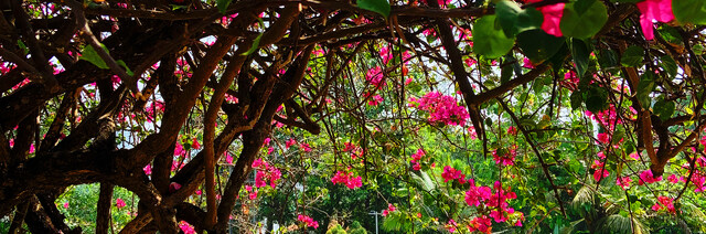 ArtStation - Akash HK