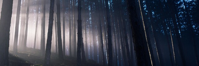 ArtStation - Logan Duffy