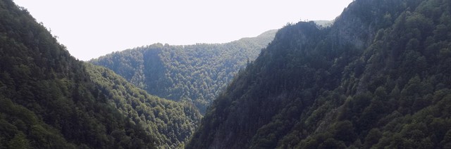 ArtStation - Dinu Diana