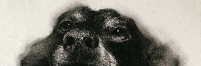 ArtStation - Angélique Roux