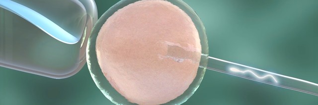 ArtStation - Hamed Panahi