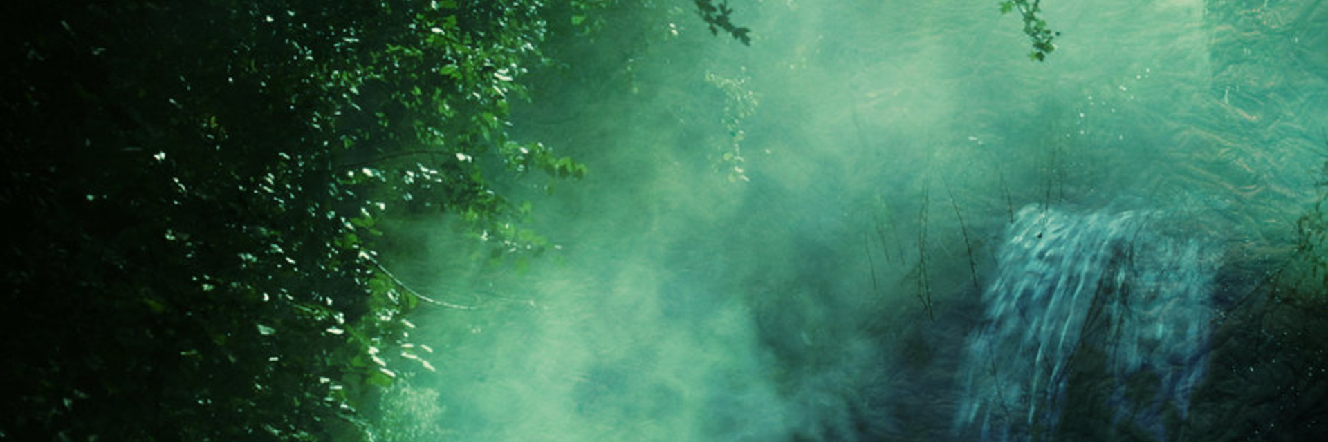 ArtStation - Alice Roe