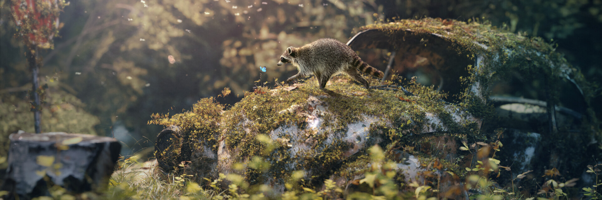 Alex Chiu - Portfolio