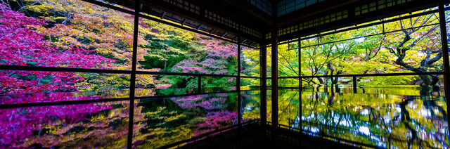 ArtStation - Terry Liu