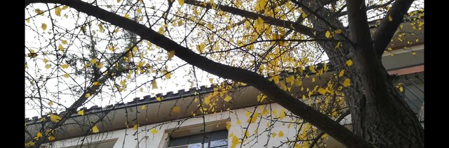 ArtStation - Yuhe Tian