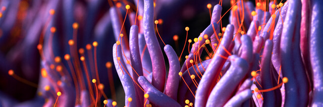 ArtStation - Luke Penry